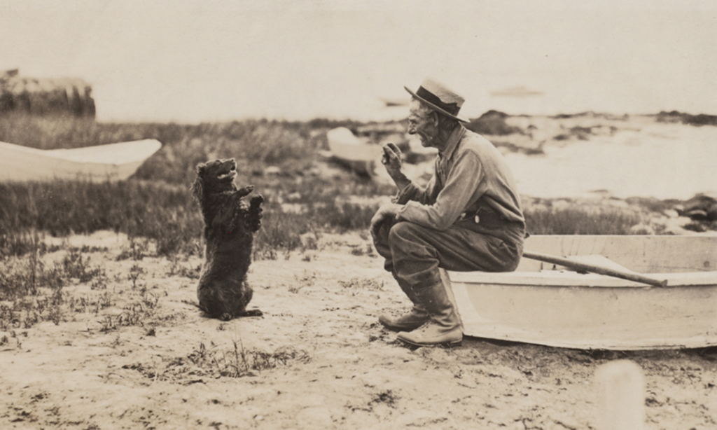 The Old Bay Path – Local History Collections